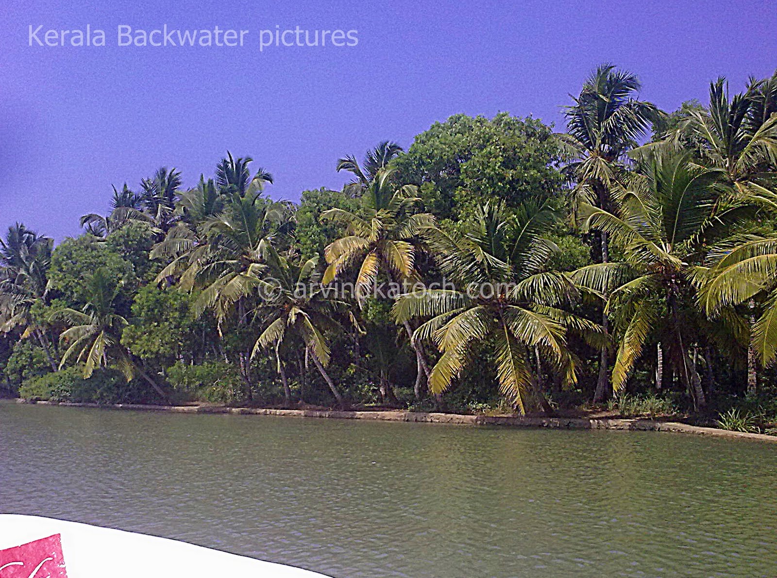 Backwater Boating Pictures Kerala 2