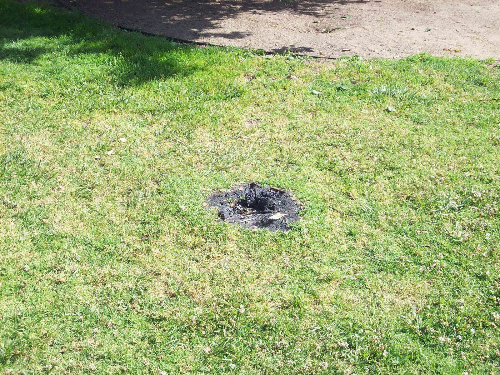 BUMMER-FREE ZONE: LA BREA MEANS TAR IN SPANISH