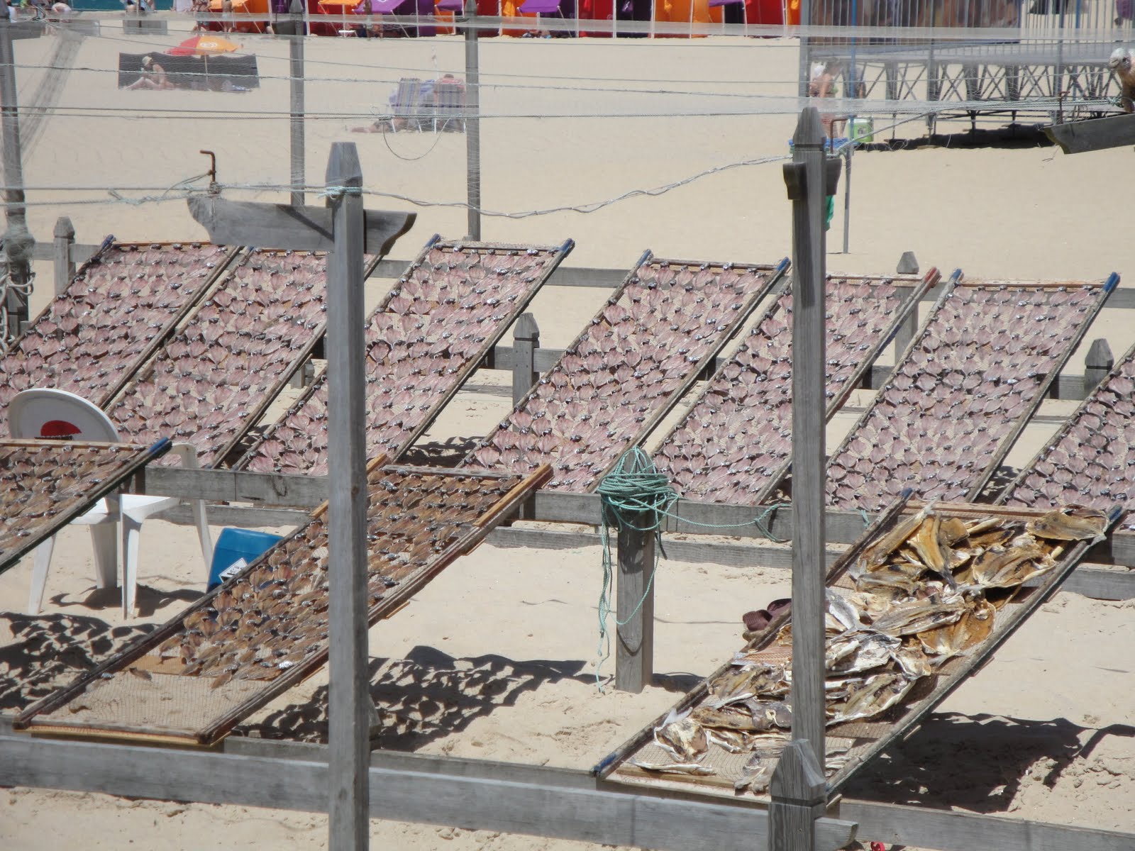 A Tradição do Peixe Seco: A Tradição do Peixe Seco