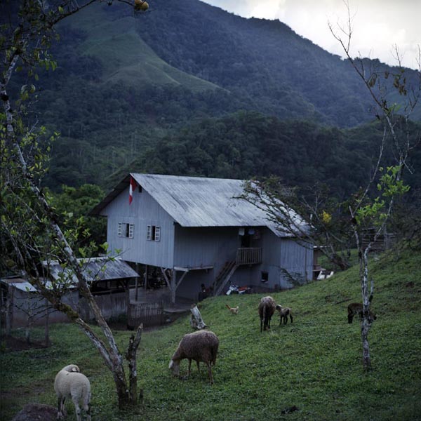 Inmigración en el Siglo XIX: Trabajos fotográficos sobre Pozuzo
