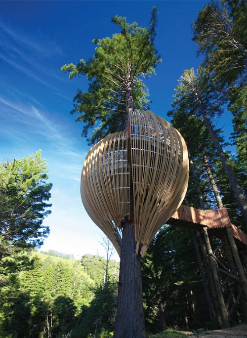 Top Most Weirdest Restaurants In The World