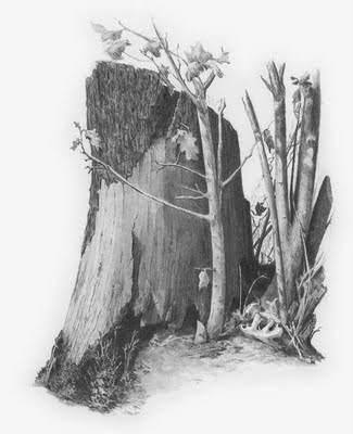 Diane Wright Art Journal: Tree Stump