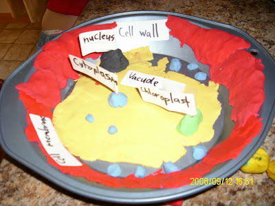 Cinj's Chat Room: Plant Cell Model Homework Project