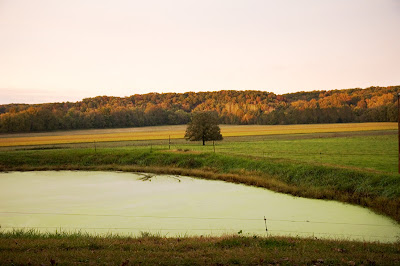 Capturing The Moment Photography: Missouri Landscape