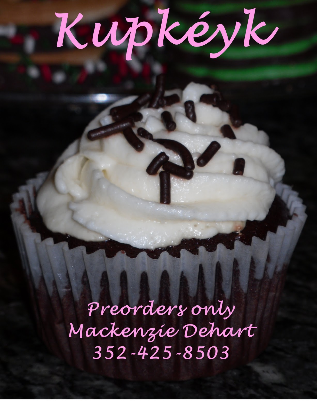 Ocala Rocks: The Urban Holiday Tour ...An Ocala Gem!