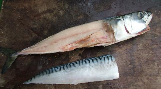 My fishing - How to catch a fish: Fishing baits. Mackerel. How to ...