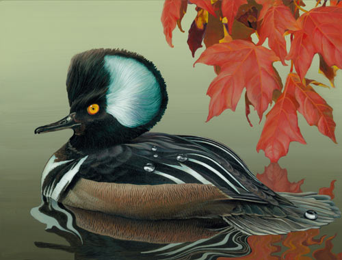 Junior Duck Stamp Contest Winner Revealed!