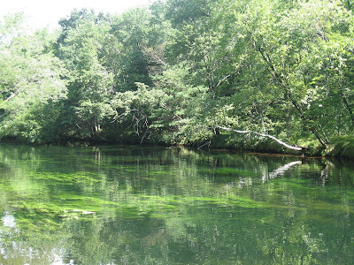 Valley Kid Stuff: Swift River Recreation Area, Belchertown, MA