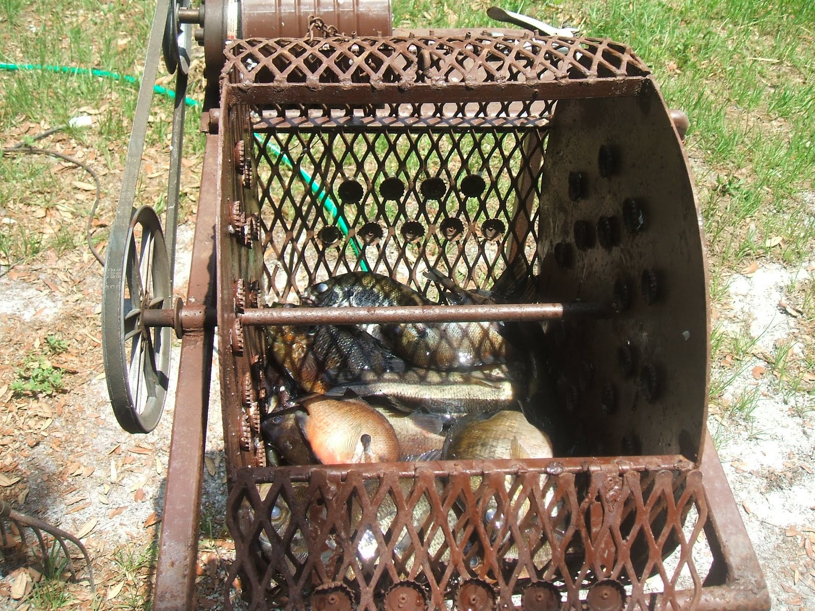 All Things Outdoors!: More Pics of fish scaler