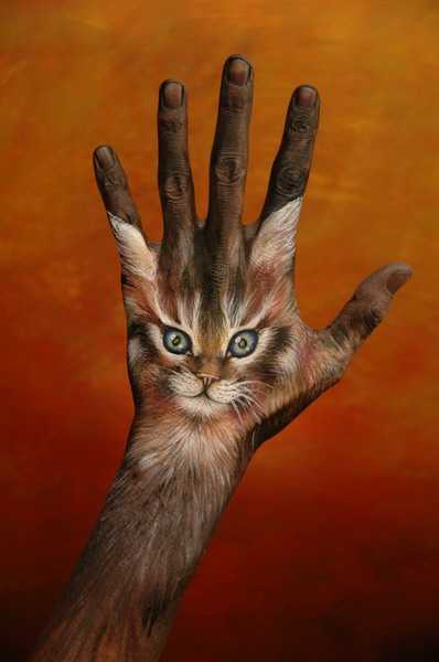 VIRAL PHOTOS: AMAZING HAND PAINTED HANDS: CAT - HAND PAINTED HAND