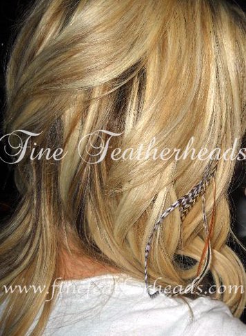 Rita ~ Hurley: Fine Featherheads!