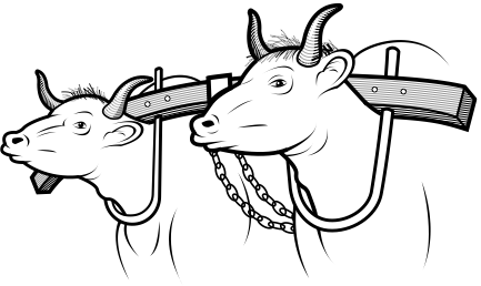 Nuggets in the Biblical Greek: Matthew 11:30, Sharing the Yoke