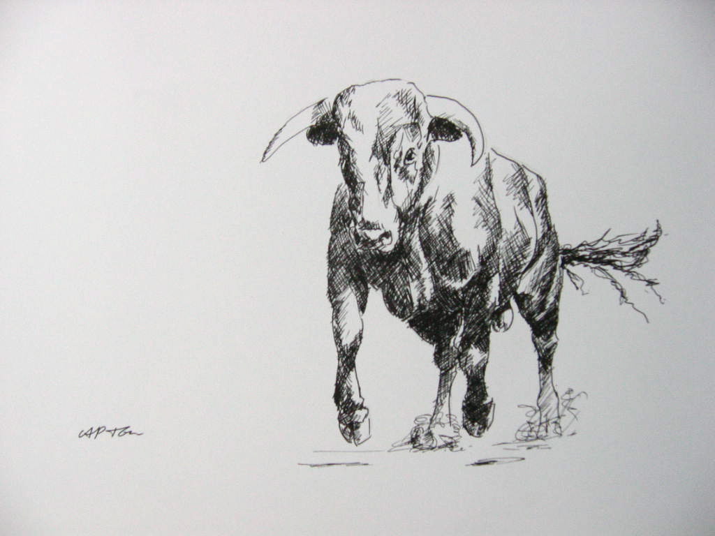 c a p t o n: DESSIN DE TORO