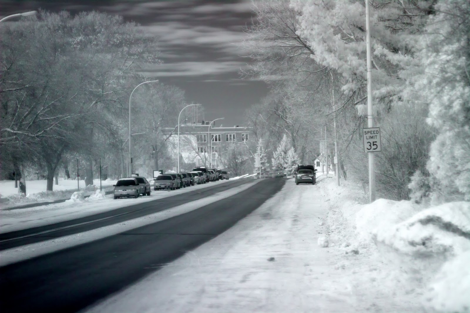 River Falls, WI Daily Photo: IR cold day in the snow