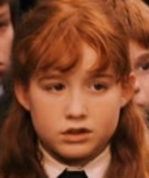 Harry Potter PARALLEL UNIVERSE: Harry Potter Cast of Characters Book 1