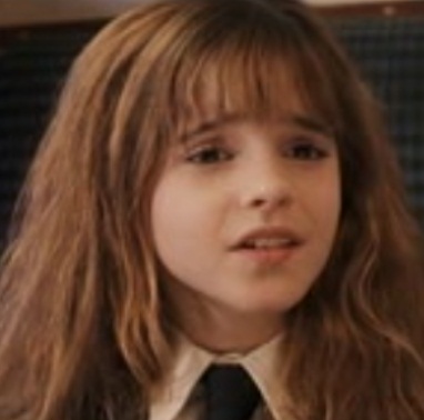 Harry Potter PARALLEL UNIVERSE: Harry Potter Cast of Characters Book 1