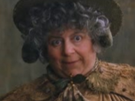 Harry Potter PARALLEL UNIVERSE: Harry Potter Cast of Characters Book 1