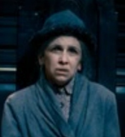 Harry Potter PARALLEL UNIVERSE: Harry Potter Cast of Characters Book 1