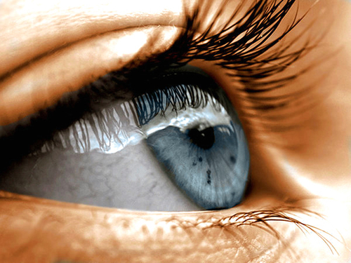 Eye Colors Side View Blue Eye Colors Side View Blue