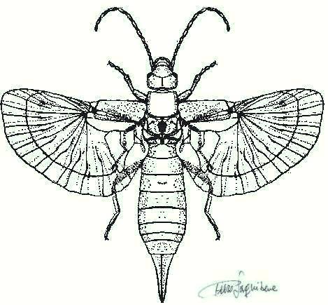 Sam's Blog: Diagrams