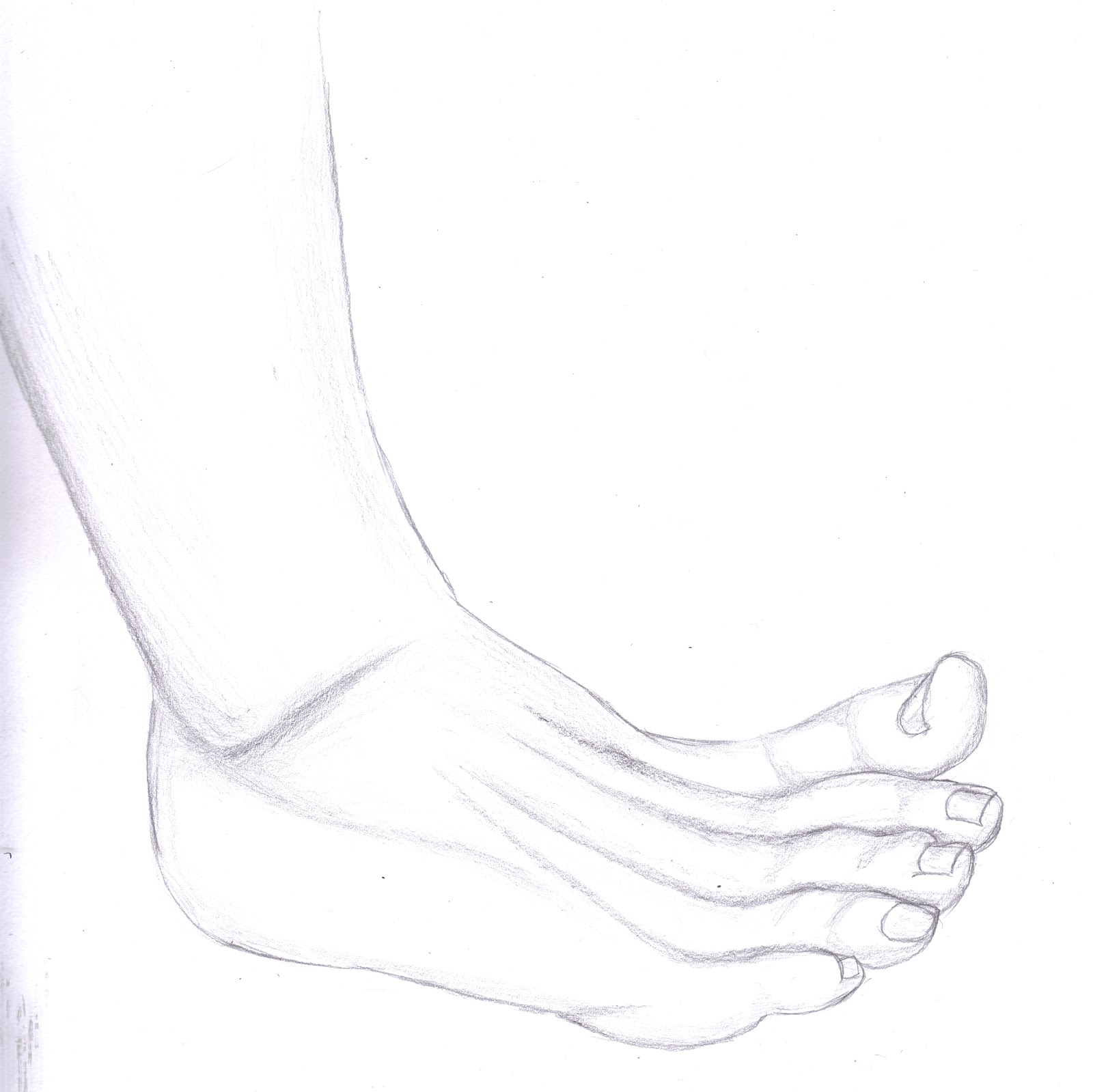 Sam's Blog: Foot Study Drawings