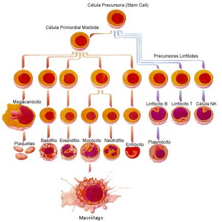 Hospital de Historias