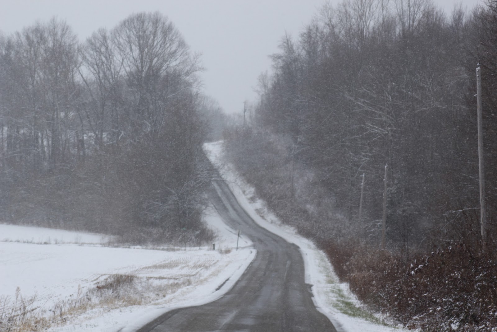 Underneath the Dogwood Tree: Winter Wonderland from Northern Kentucky