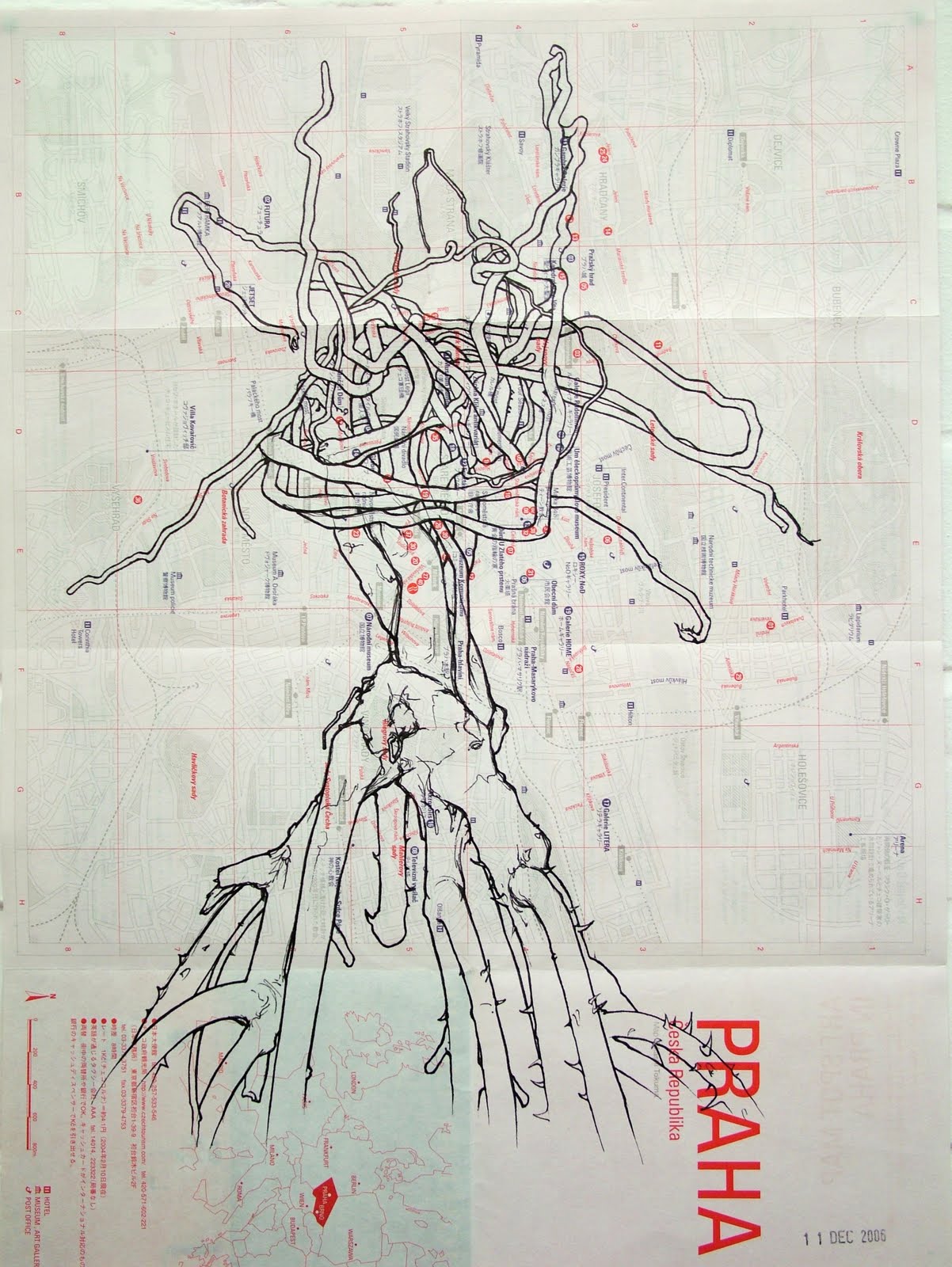 Oodles of Doodles: August 2010