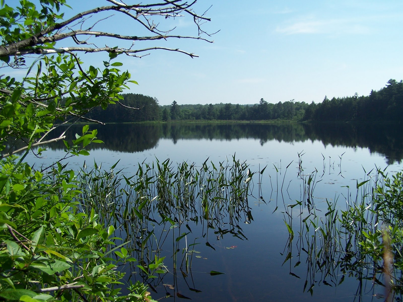 Quiet Kayaking in New York State: Long Pond and Round Pond, part one