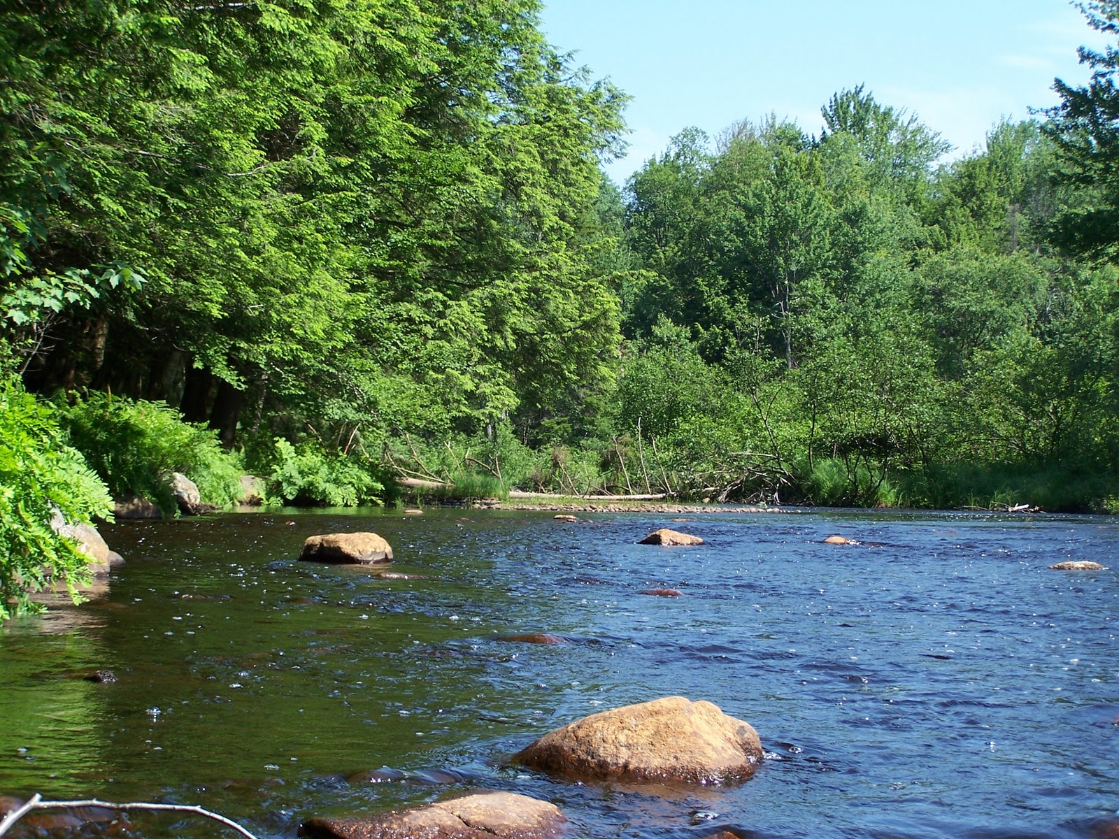 Quiet Kayaking in New York State: Long Pond and Round Pond, part two