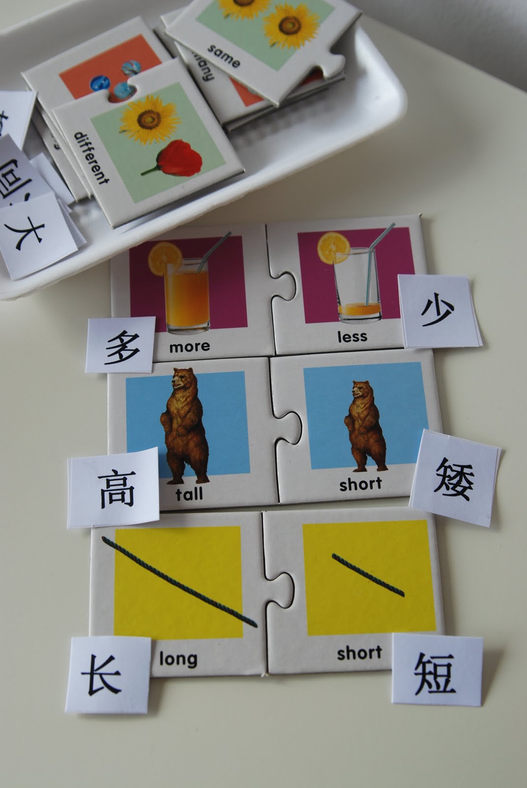 Homeschool @ SG: Learning Opposites in mandarin