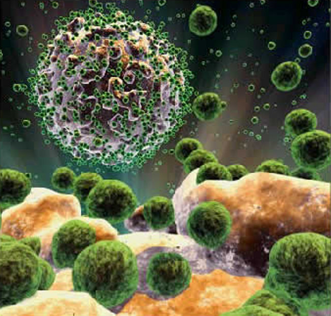 Locos por la Salud: Los Agentes Patógenos.