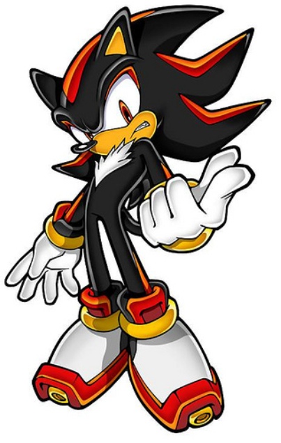 Amy Rose: batalla de amor: 2. lo que paso part 1