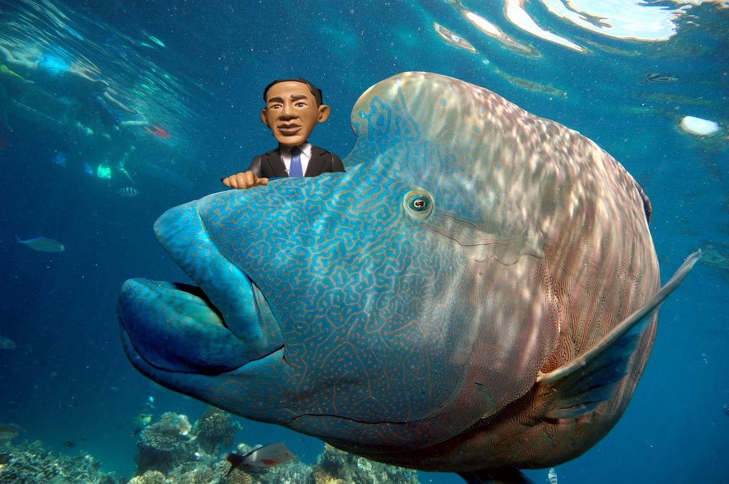 Adventures of the Ibama Twins: On the Great Barrier Reef