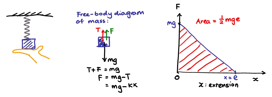 Living with Physics: Missing Energy When A Mass is Hung on a Spring?