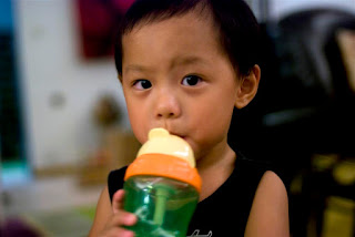 Ashkin's Bay: chikubi