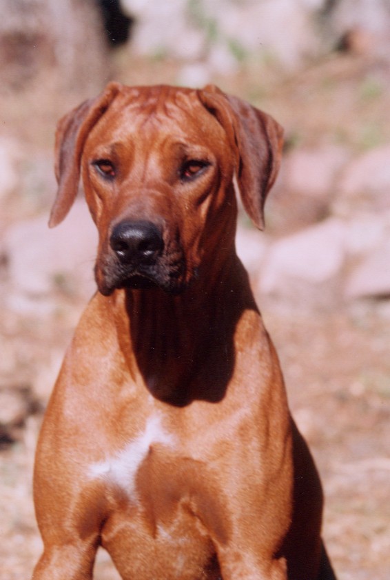 Don't Trust The Atlantic