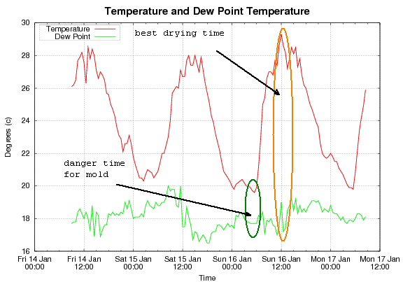 in my view ...: humidity and mold
