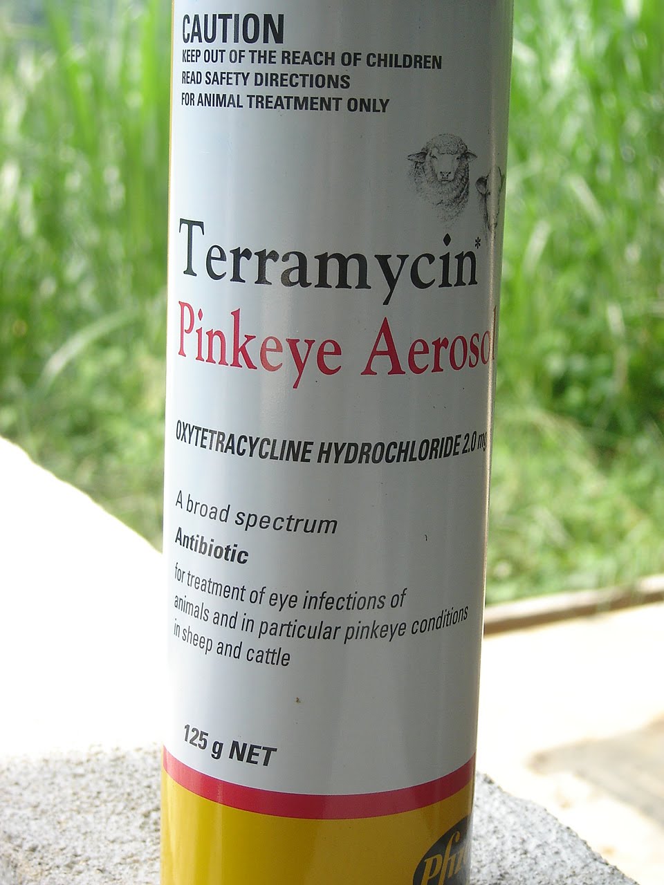 ROYALE AGRO INTEGRATED FARM: Terramycin Pinkeye Aerosol - Pfizer - Ubat ...