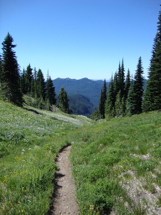 Views From the Tent: Trip Report - The Wonderland Trail, August 13 - 25 ...