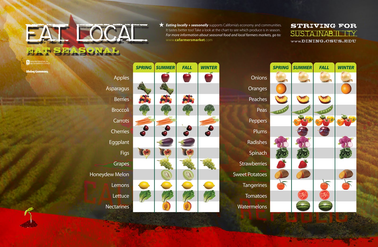 baseline66: Chart-Shart