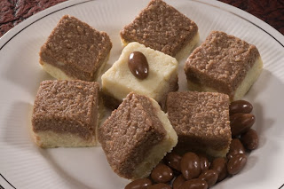 The Land Of Taste: How to make chocolate burfi?. Complete recipes and ...