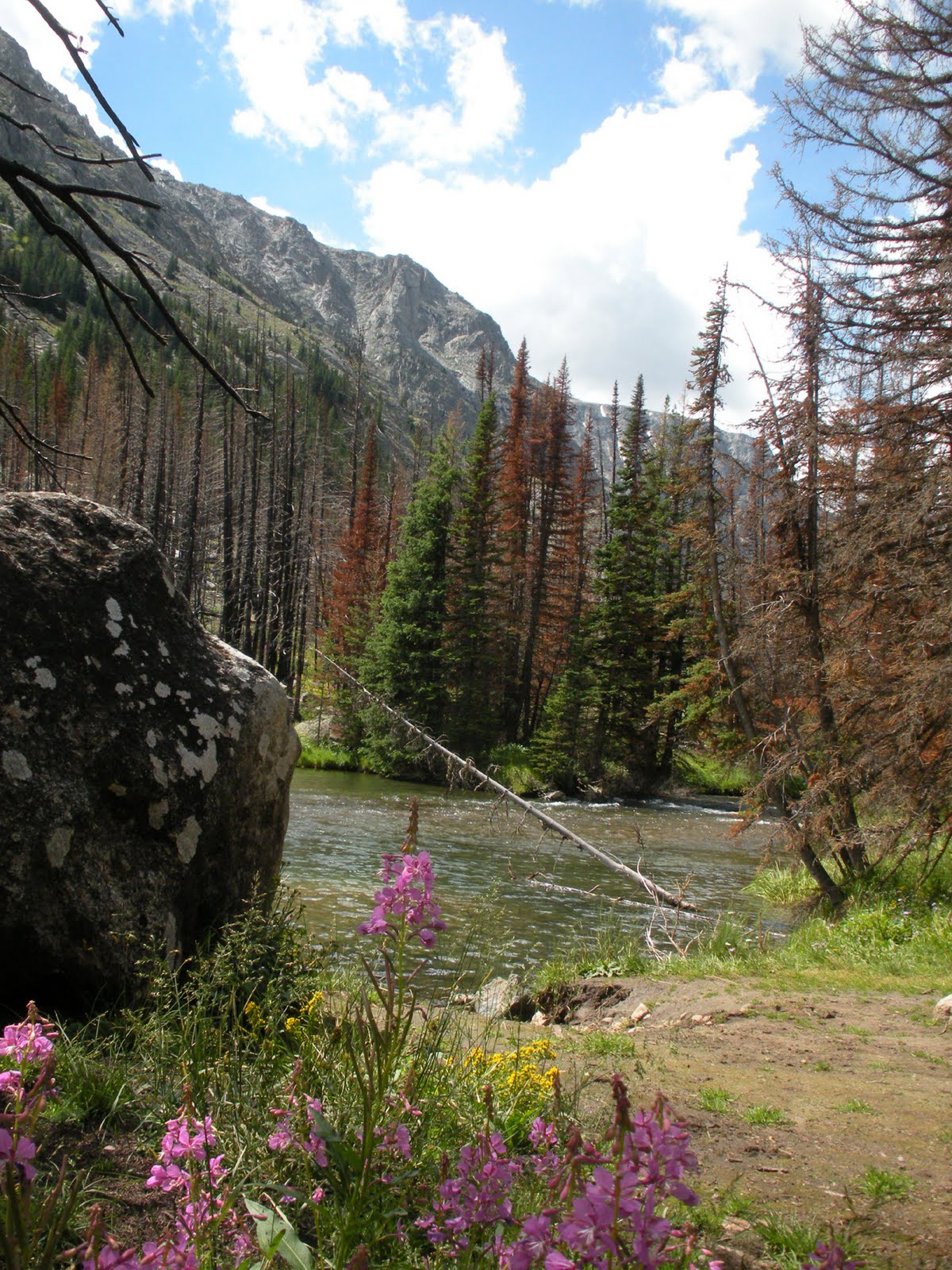Living and Dyeing Under the Big Sky: Calamity Falls Dayhike, Beartooth ...