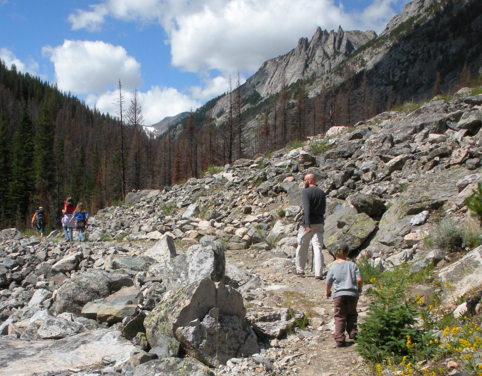 Living and Dyeing Under the Big Sky: Calamity Falls Dayhike, Beartooth ...
