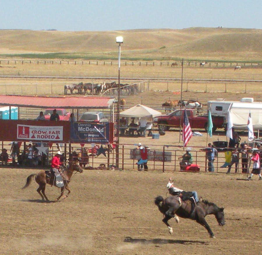 Living and Dyeing Under the Big Sky: Crow Fair Rodeo