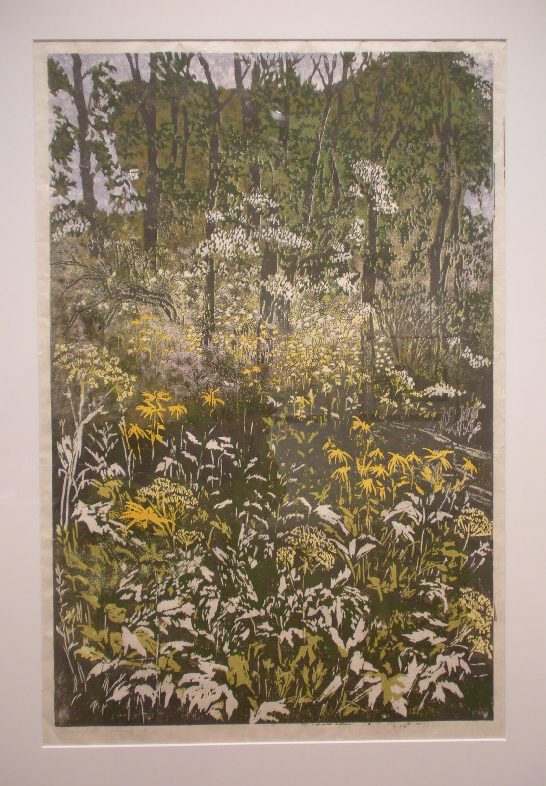 Living and Dyeing Under the Big Sky: Edith Freeman at Yellowstone Art ...