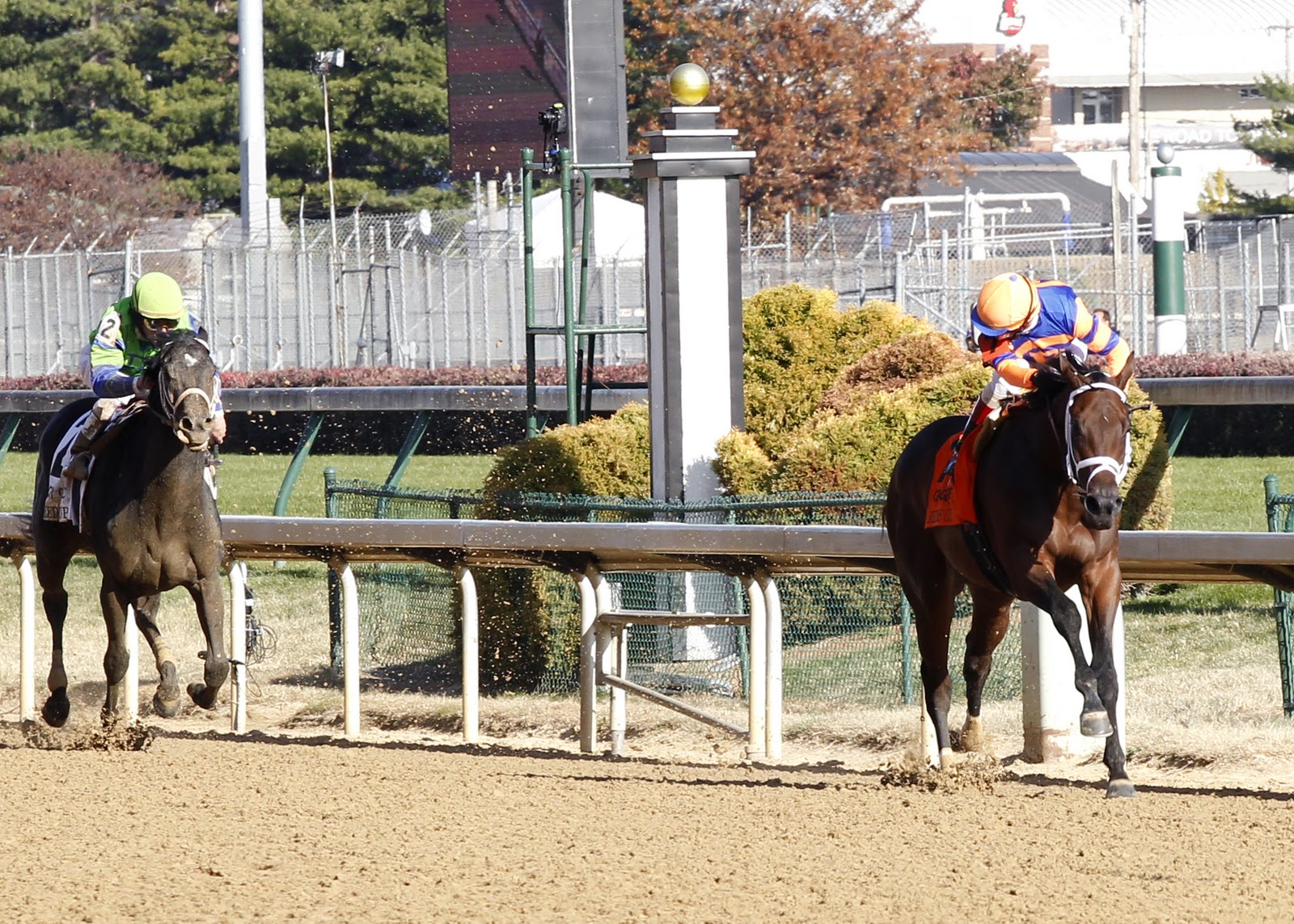 Zipse at the Track: Uncle Mo Rides the Breeders’ Cup Wake