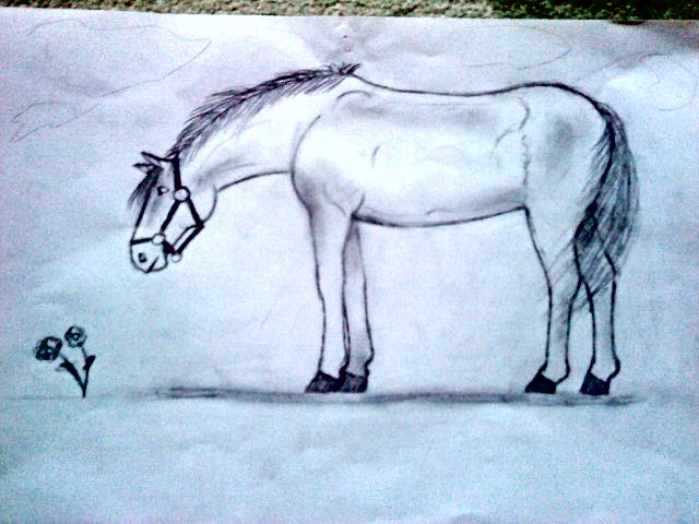 a girl's life.: december 2010