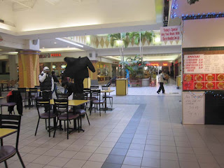 Sky City: Retail History: Dutch Square Mall: Columbia, SC