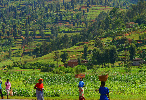 Landscapes Behind the Legend: Rwanda